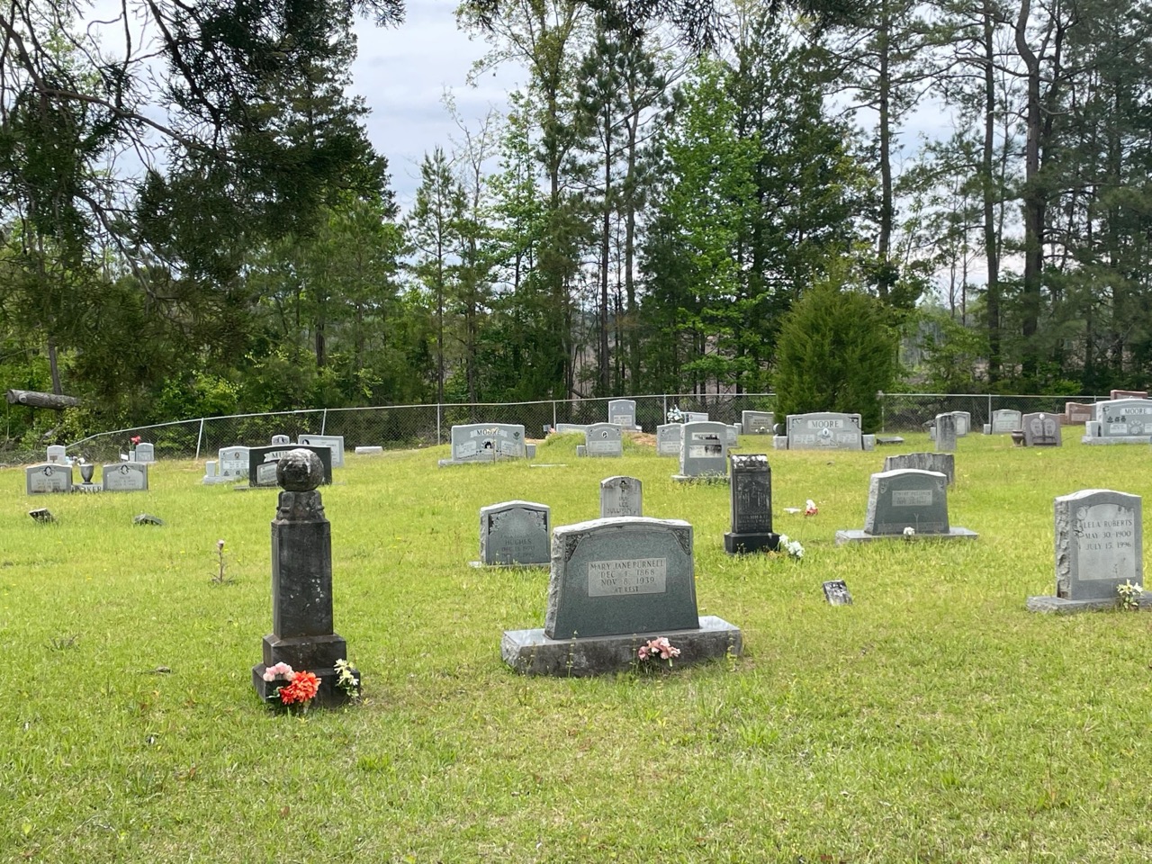 History – 1870 Project Mississippi: An American History of Spring Hill ...
